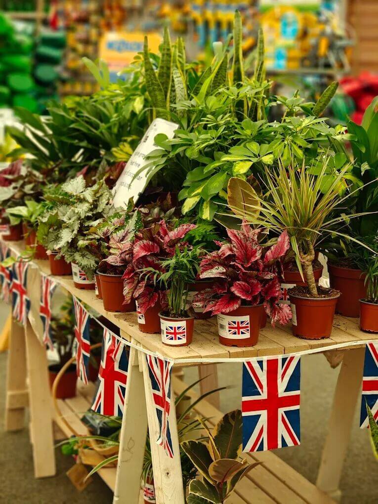 Edwins Garden Centre | Woking & Clandon Park | Plants & Gifts | Edwins ...